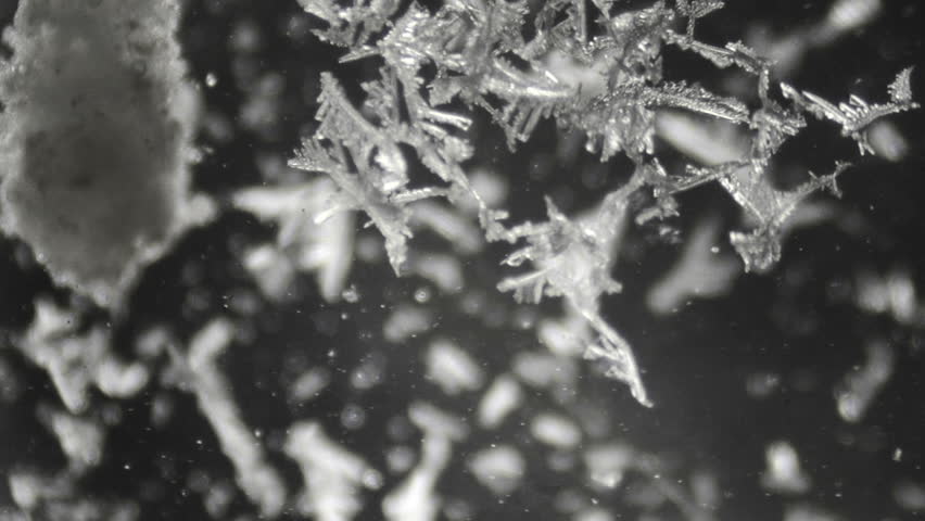 Ice Crystals Under Microscope Stock Footage Video 10689785 - Shutterstock Ice Crystals Under Microscope Stock Footage Video 10689785 - Shutterstock