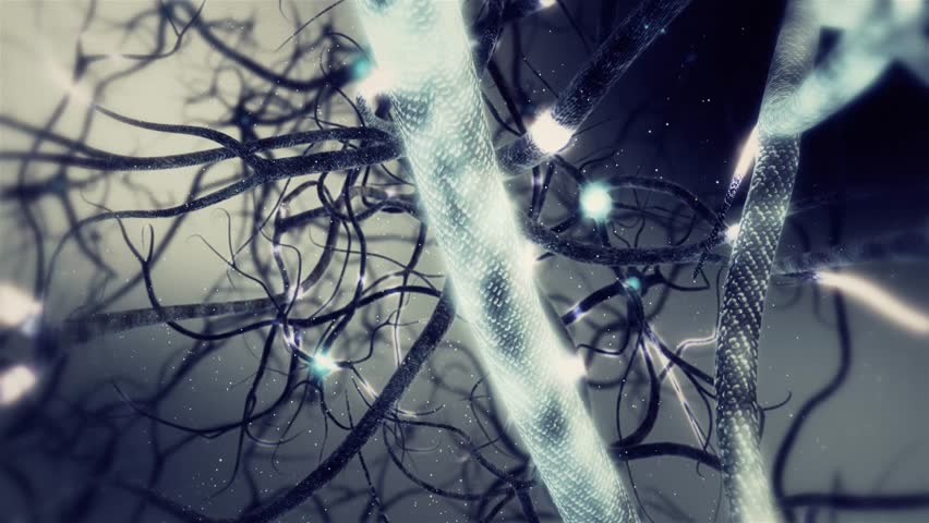 Real Neuron Synapse Network 3D Animation. Infinite Loop Inside The ... Real Neuron Synapse Network 3D Animation. Infinite Loop Inside The ...