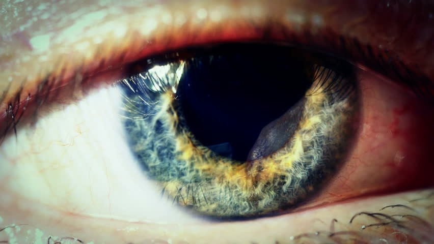 Extreme Close Up Human Eye Iris In 4K UHD Video. Human Eye Iris Contracting. Extreme Close Up ...