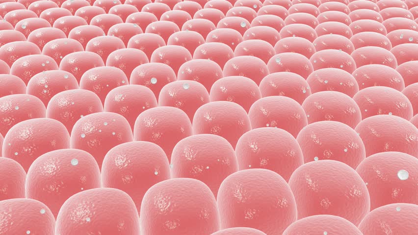 Collagen Stock Footage Video - Shutterstock