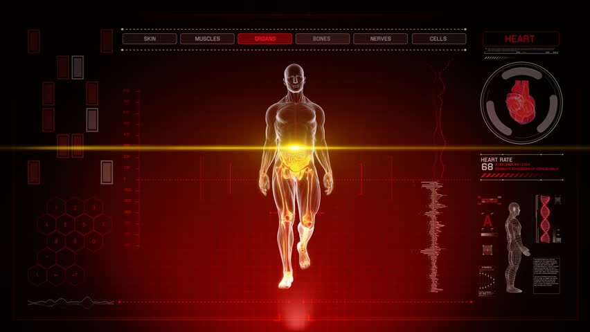 Human Anatomy WALKING With Futuristic Touch Screen Scan Interface In 3D ...