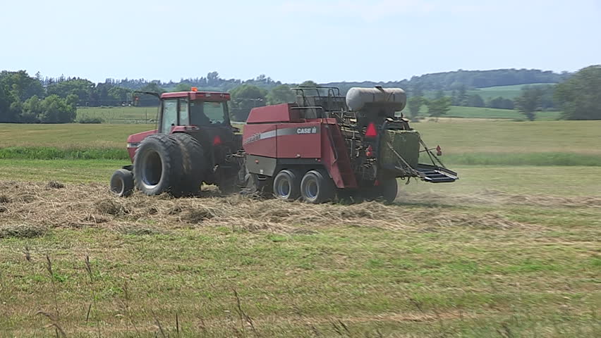 Farmer Spreading Organic Manure Across Small Land Parcel. Organic ...