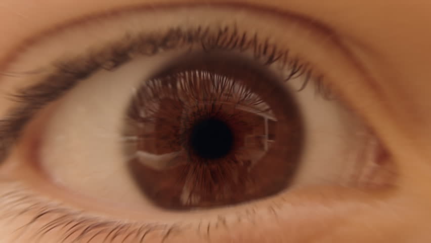 Journey Through The Eye - Camera Zooms Through Pupil, Optic Nerve And ...