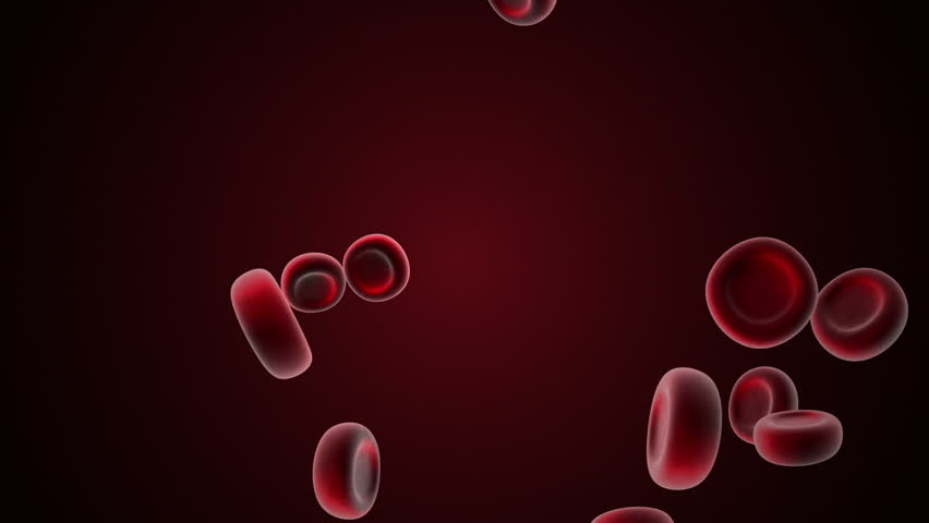 Red Blood Cells 2 Stock Footage Video 2669822 - Shutterstock