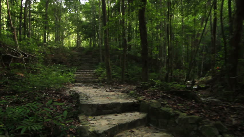 Deep Forest - Path With Stone Staircases Through A Deep Forest Inside A ...