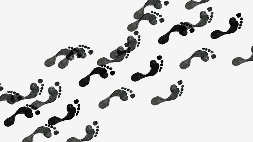 Animated Footprints On White Background Stock Footage Video 3550859 ...