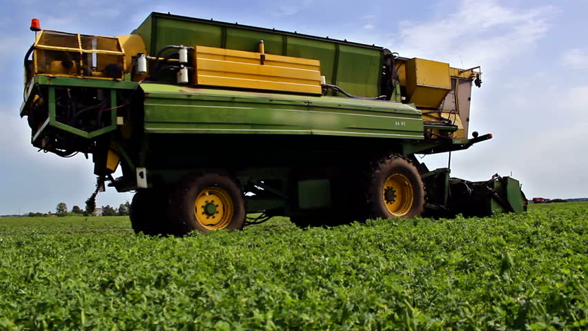 Specialized Combine For Harvesting Peas In The Work On The Farm,video ...