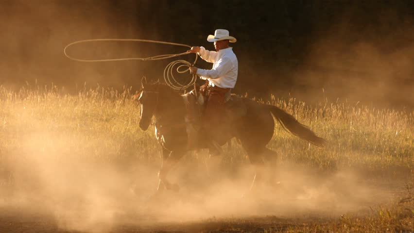 Cowboy Herding Cattle At Sunset, Slow Motion Stock Footage Video ...