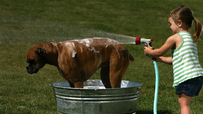 Children Washing Dog In Front Yard Stock Footage Video 4544192 ...