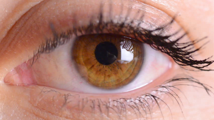 Eye Macro...zoom In Stock Footage Video 4732778 - Shutterstock
