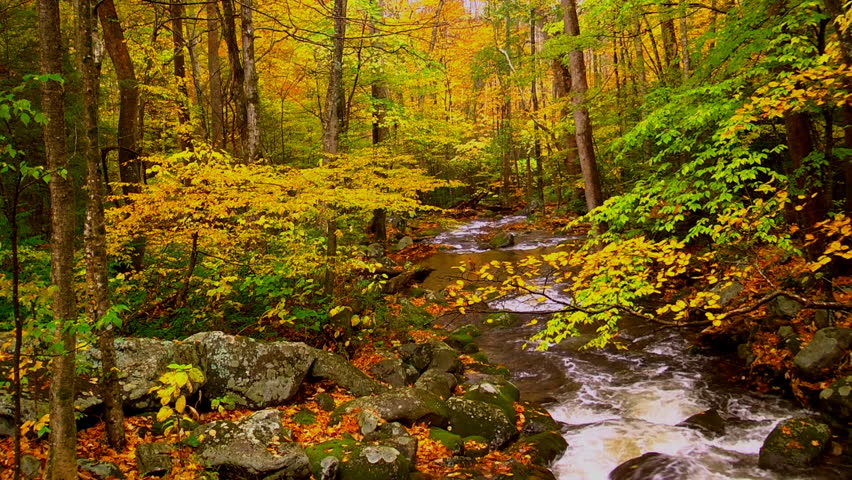 A Vividly Colorful Autumn Rocky River In The Appalachian Mountains ...