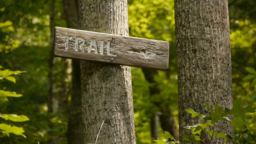 Hiking Trail Marker Sign In A Serene Forest. Hiking Trail Sign Points ...