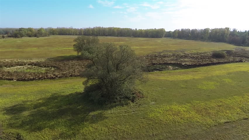 Meadow Aerial