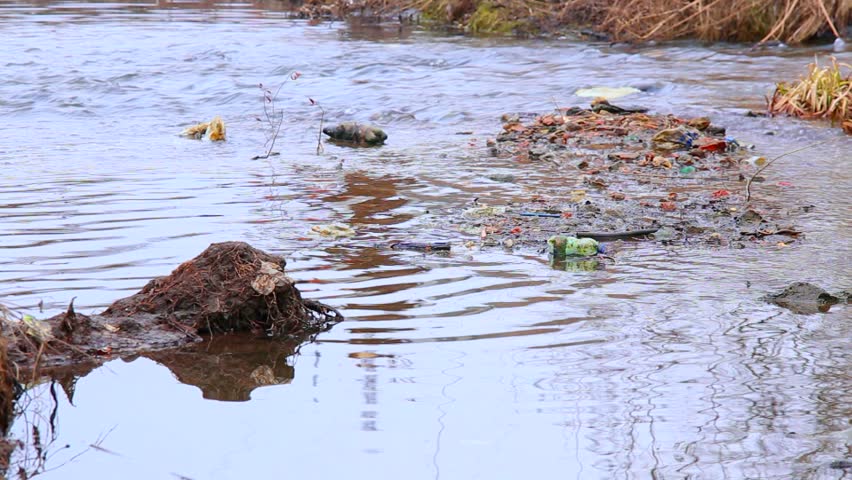 water pollution. natural disaster. nature in danger. polluted water ...