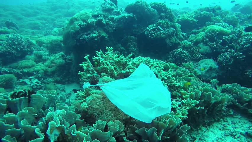 Plastic Bag Floating In Tropical Ocean With View Of Coastline Stock ...