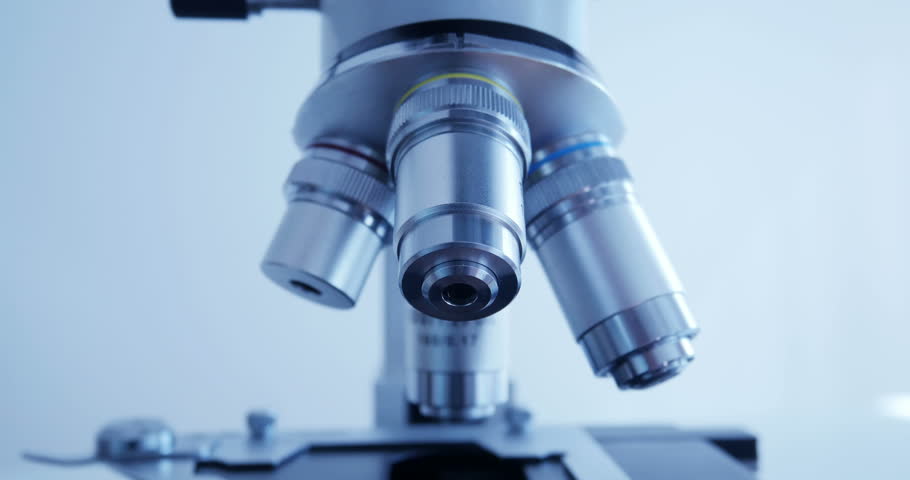 Honey Seen Through Microscope On High Resolution. Shot On UHD 4K ...